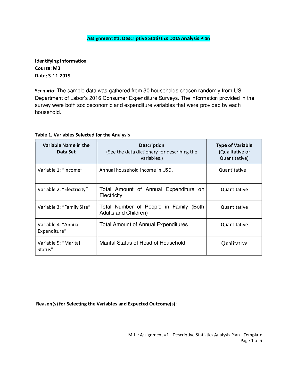 Data Analysis Plan Template - BestTemplatess - BestTemplatess
