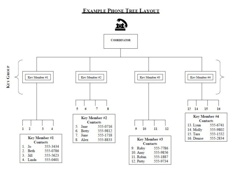 Emergency Phone Tree Template - BestTemplatess - BestTemplatess
