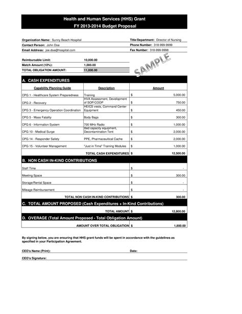 Hospital Budget Template - BestTemplatess - BestTemplatess